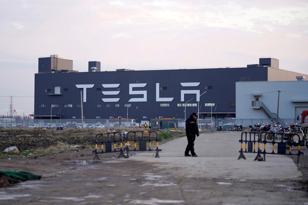 Τα μυρμήγκια «τρώνε» την Tesla - iFarsala