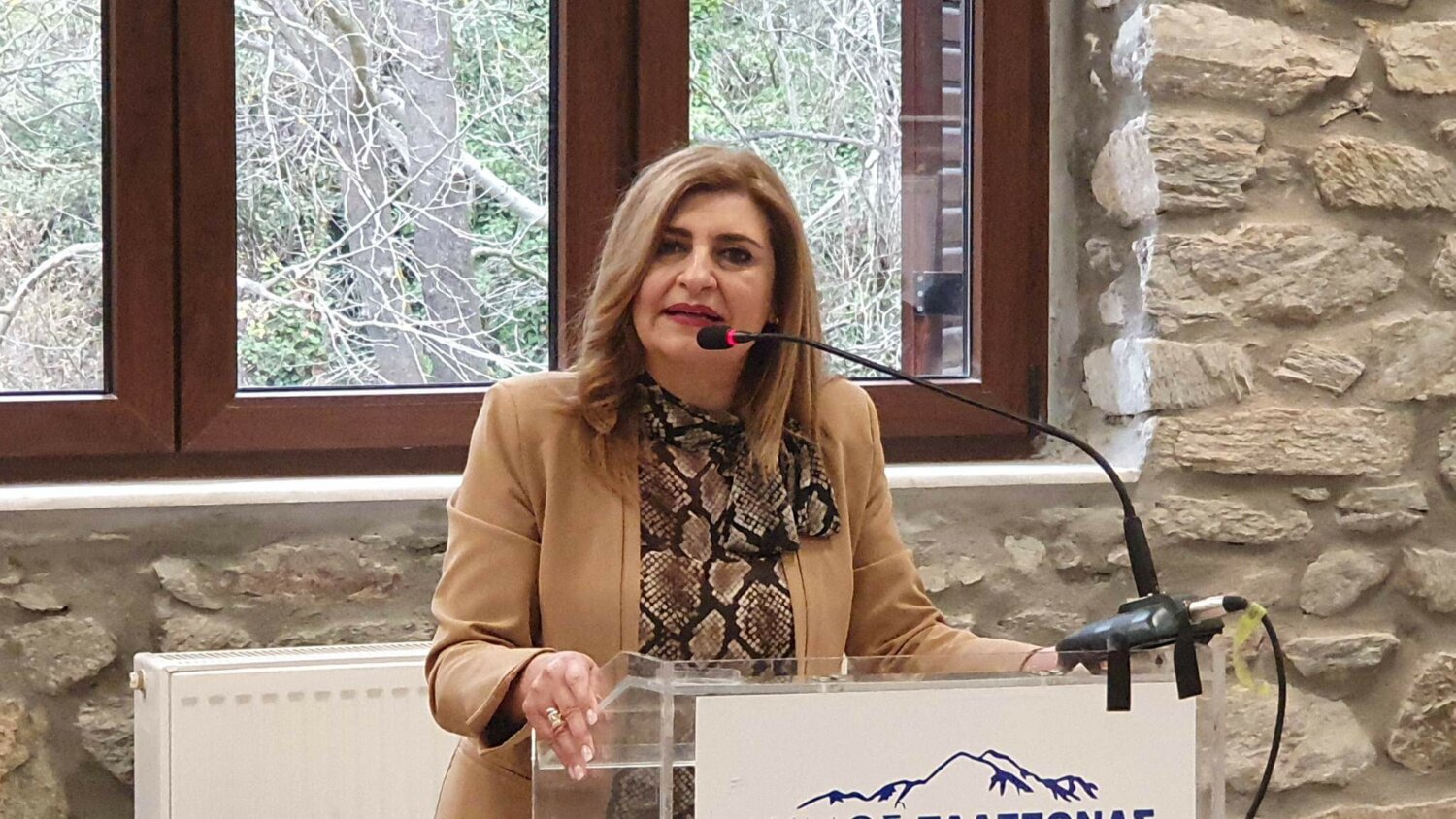 Ε. Λιακούλη: «Η Ελασσόνα είναι ένα ακατέργαστο διαμάντι» - iFarsala