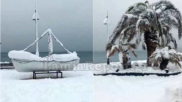 Γλύφα: Έφτασε τους 40 πόντους το χιόνι δίπλα στο κύμα (ΒΙΝΤΕΟ-ΦΩΤΟ ...