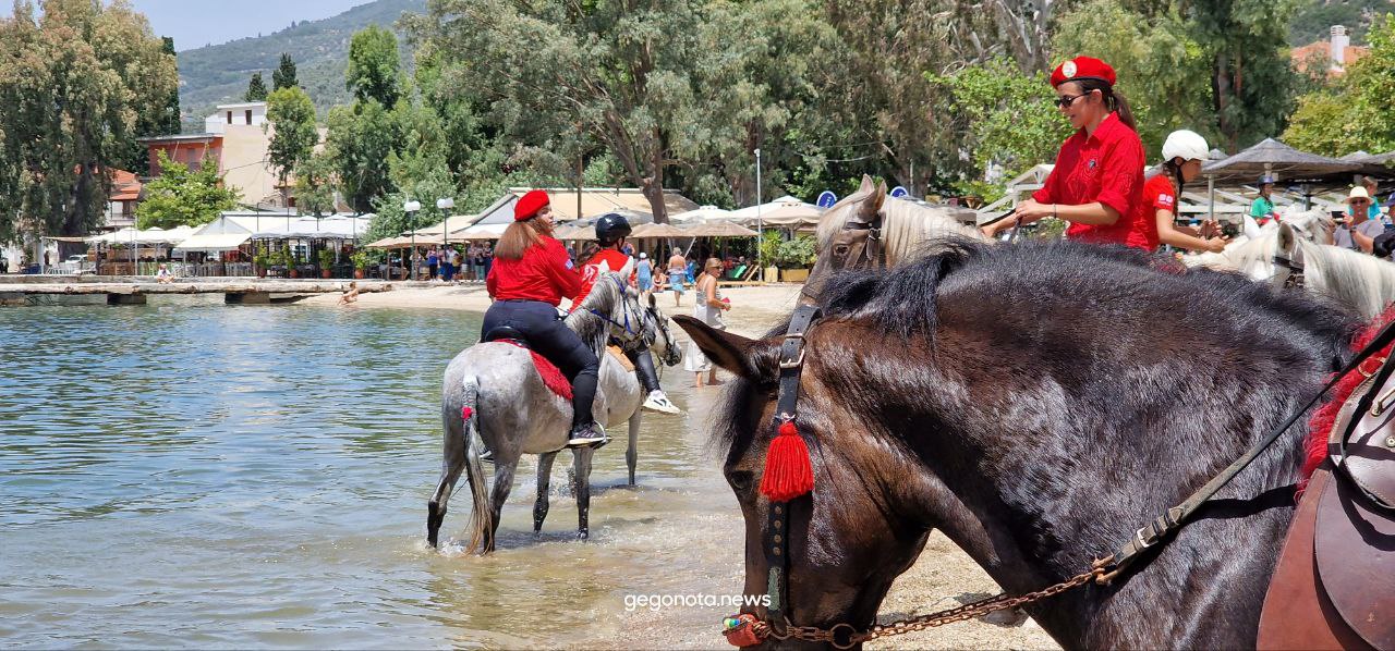 Αγιασμός των αλόγων - Έθιμο στο Νότιο Πήλιο - iFarsala