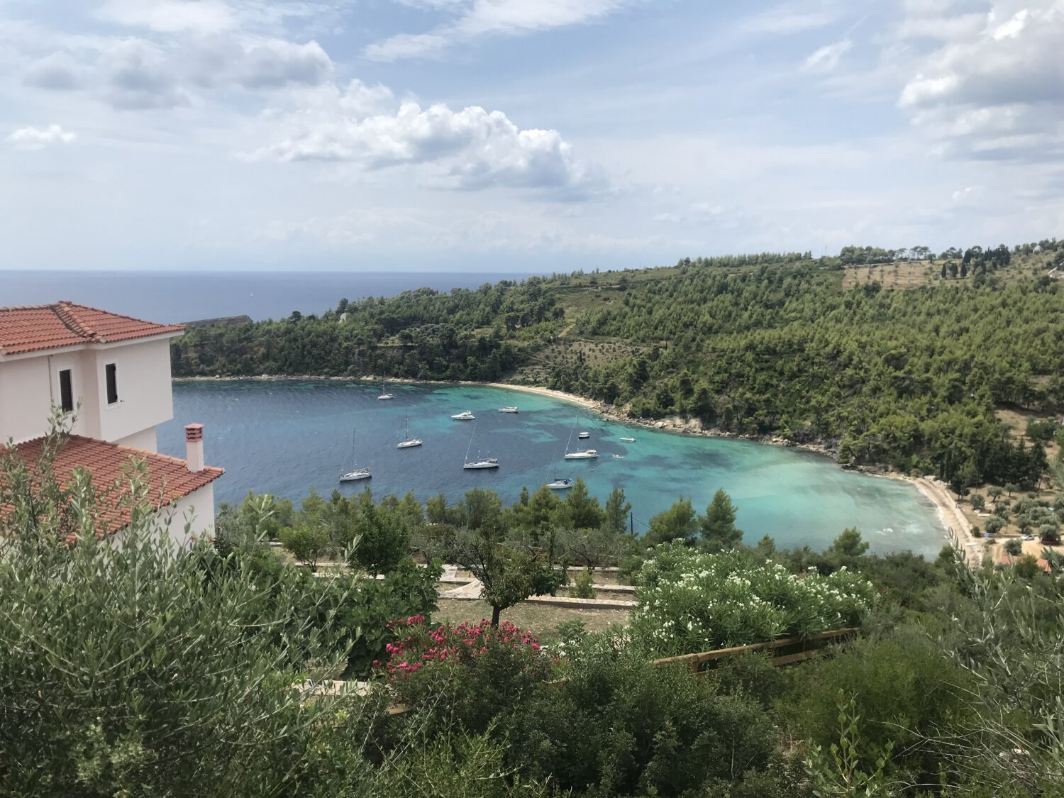 Thessaly & Evros Pass 2024: Ανοίγει η πλατφόρμα για τις αιτήσεις - iFarsala