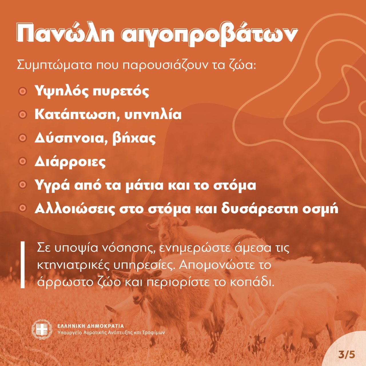 Χρήσιμες ερωτήσεις και απαντήσεις για την πανώλη των μικρών ...
