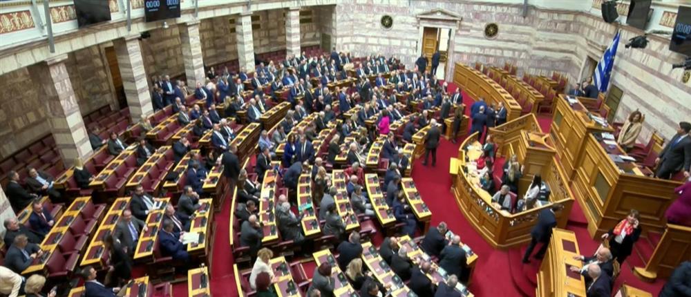 Νικήτας Κακλαμάνης: Πρόεδρος της Βουλής με 247 ψήφους - iFarsala