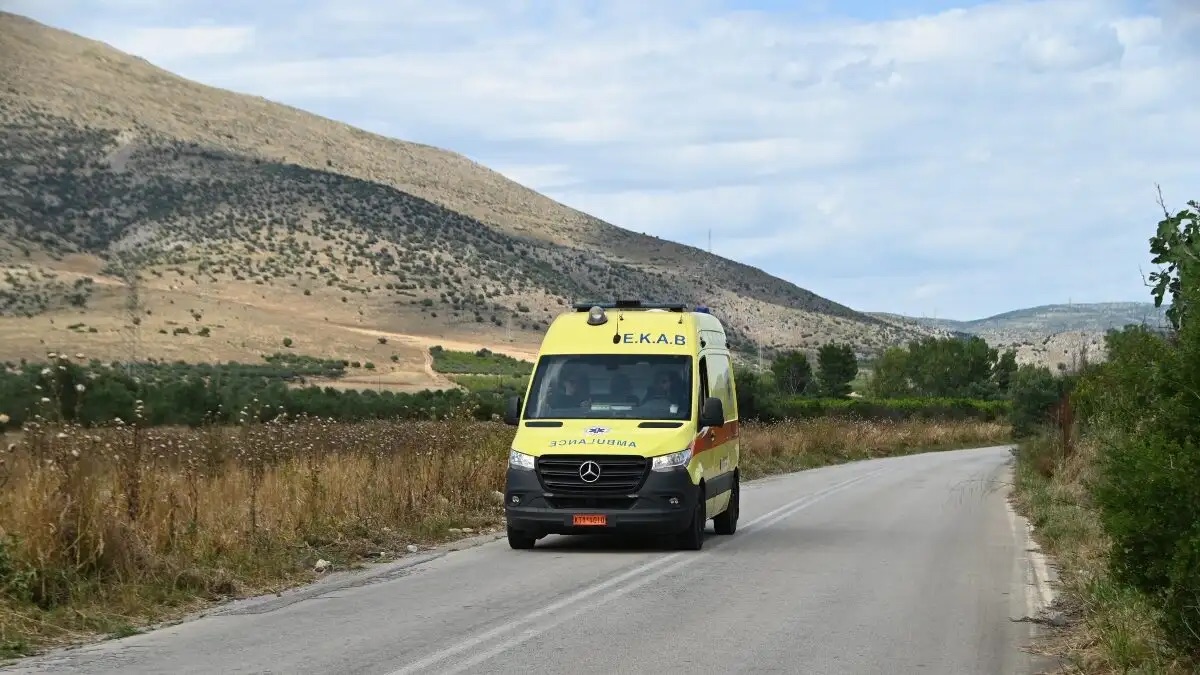 Δομοκός: Έχασε τη ζωή του από τσίμπημα μέλισσας - Έτρεξε να σωθεί και ...